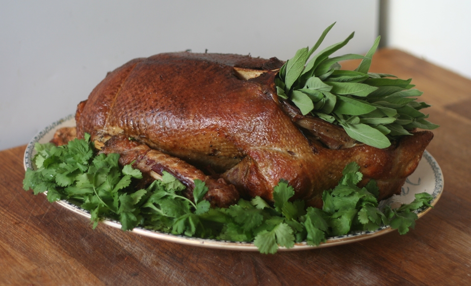 Boiled Goose – Deja Food